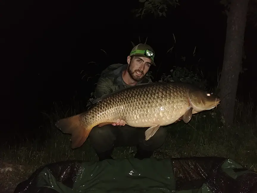 Fishing for Carp at Night – Fish'n Canada