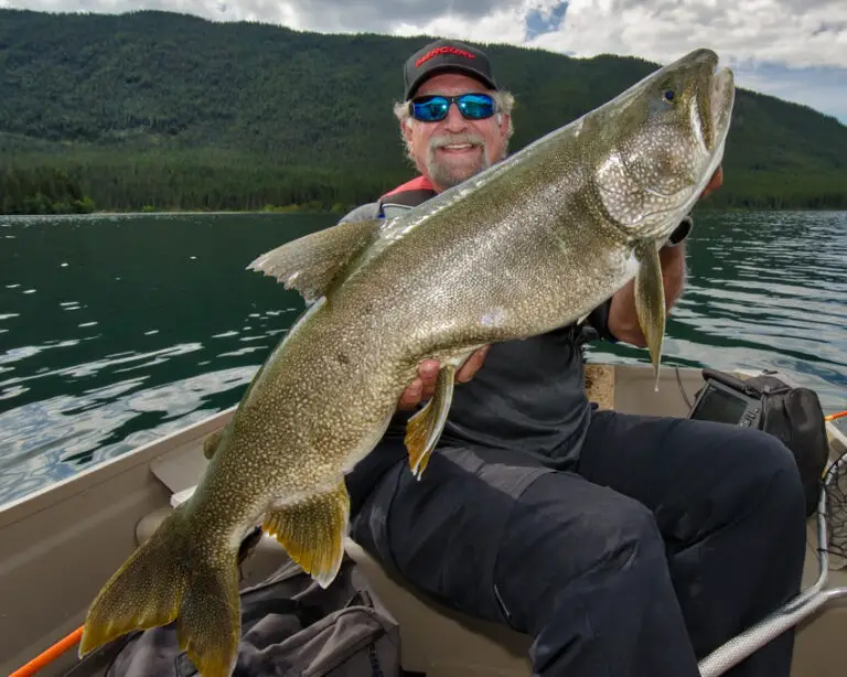 Fishing in BC: Top 5 Places To Fish In British Columbia – Fish'n Canada