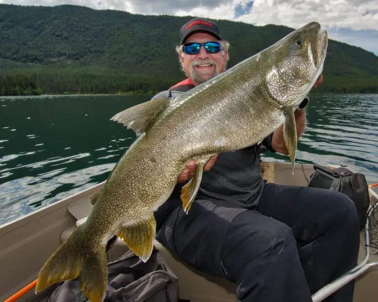 Fishing in BC: Top 5 Places To Fish In British Columbia | Fish'n Canada
