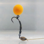 Top 5 Rigs for Carp Fishing – Fish'n Canada