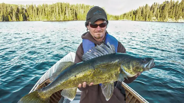 5 Walleye Jigging Techniques You Need To Know – Fish'n Canada