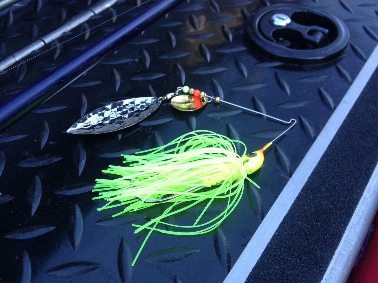 fast and furious – Fish'n Canada