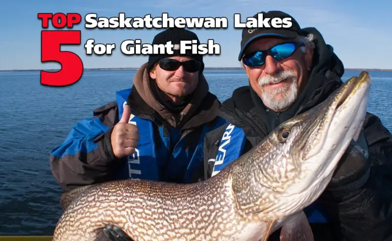 Top 5 Saskatchewan Lakes for Giant Fish – Fish'n Canada
