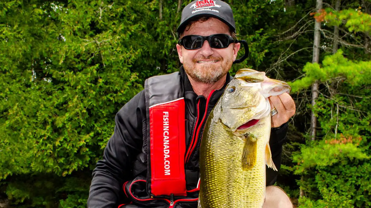 How to Use Wood to Find Largemouth Bass - Fish'n Canada