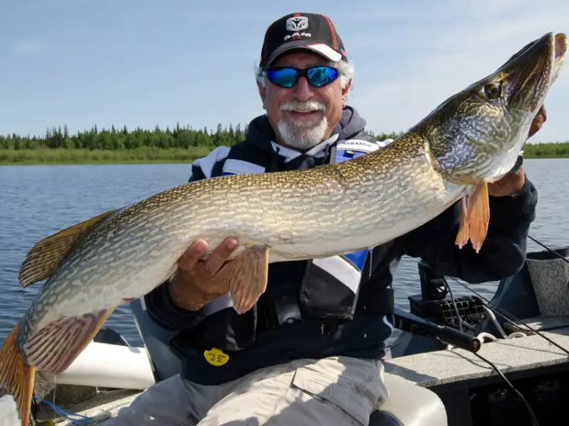 Top 5 Saskatchewan Lakes for Giant Fish – Fish'n Canada