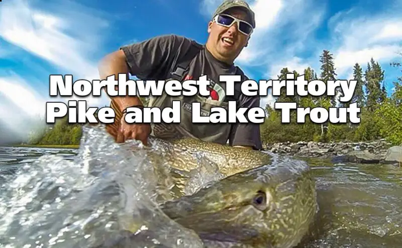 Fish’N The Arctic – Fish'n Canada