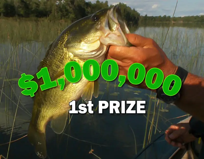 One Million Dollar 1st Prize in US Amateur Fishing Tournament – Fish'n ...