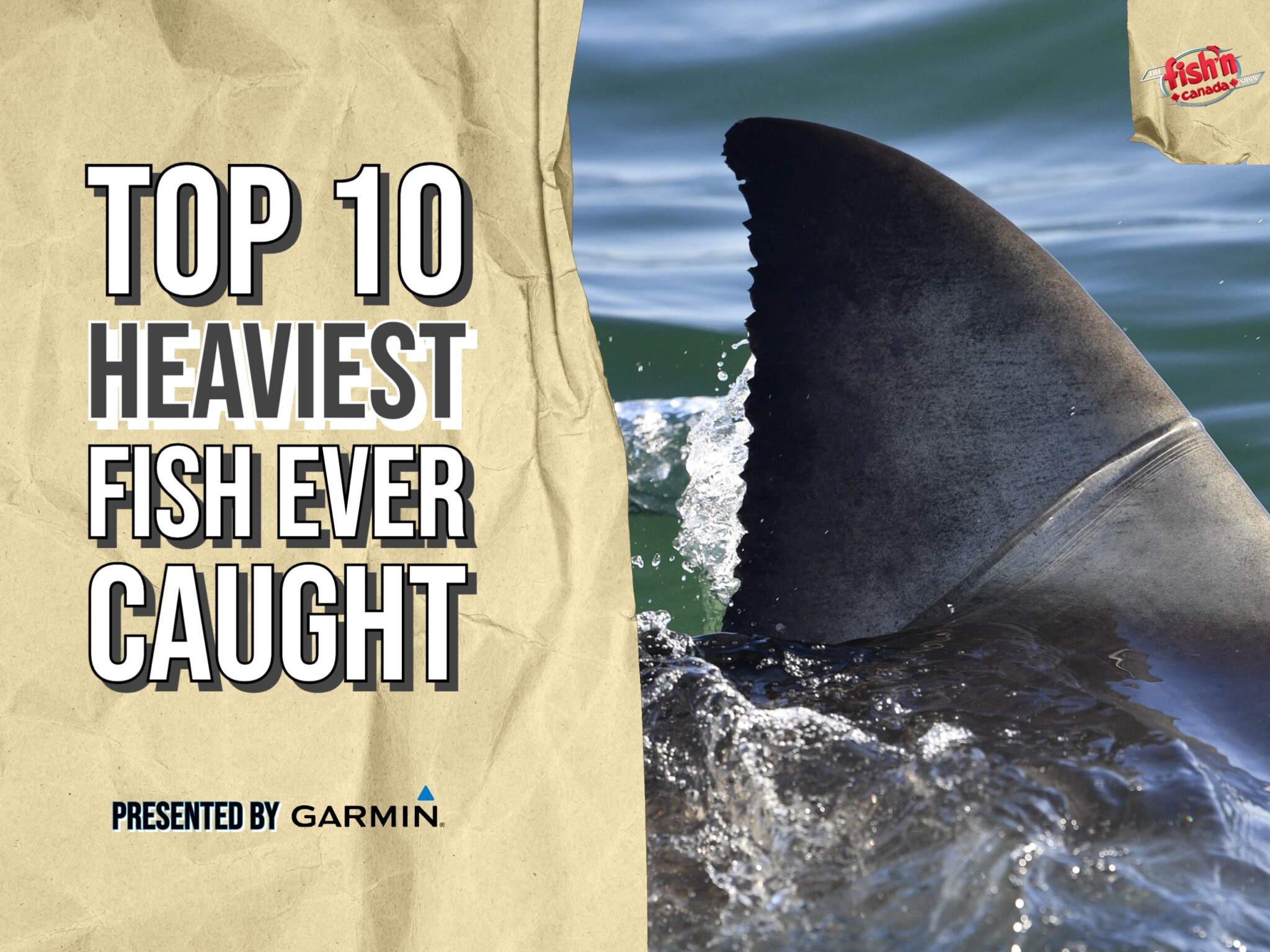 THE WORLD’S TOP 10 HEAVIEST GAMEFISH EVER CAUGHT - Fish'n Canada
