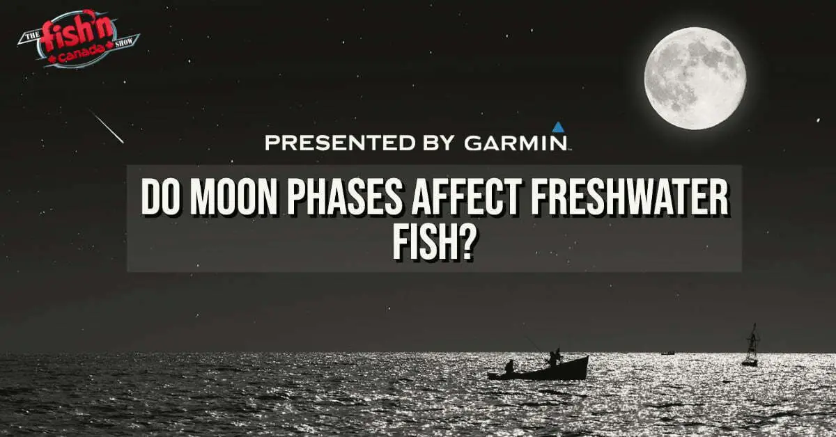 Do Moon Phases Affect Freshwater Fish Behaviour? | Fish'n Canada