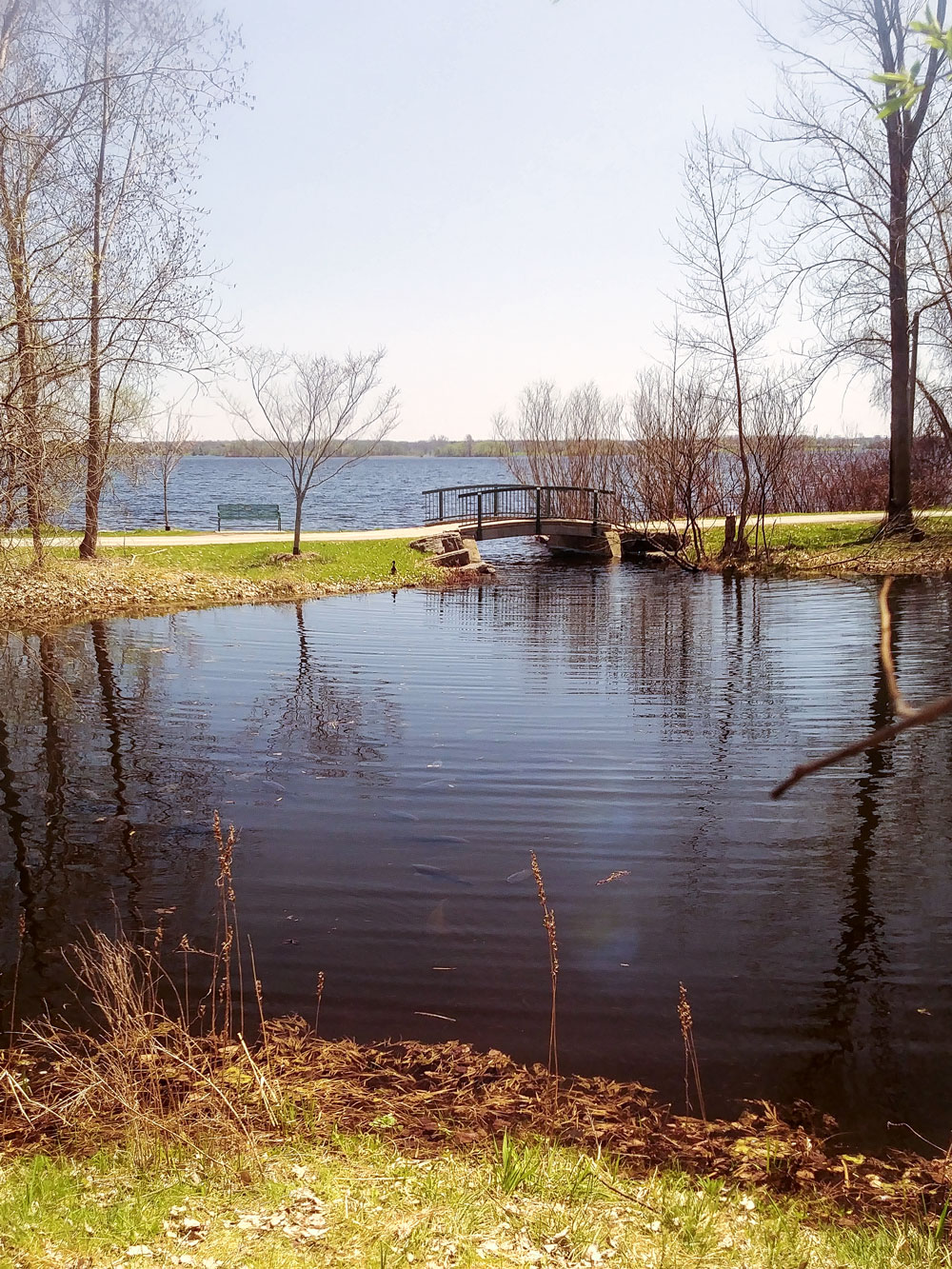 How to Get Ready For Spring Carp Fishing – Fish'n Canada