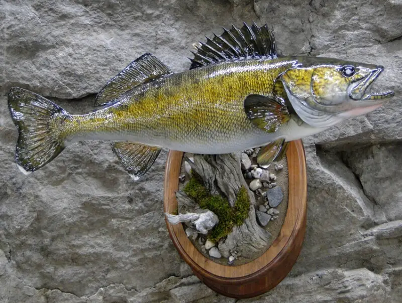 The Ultimate Late Fall Bay of Quinte Walleye Fishing Guide – Fish'n Canada