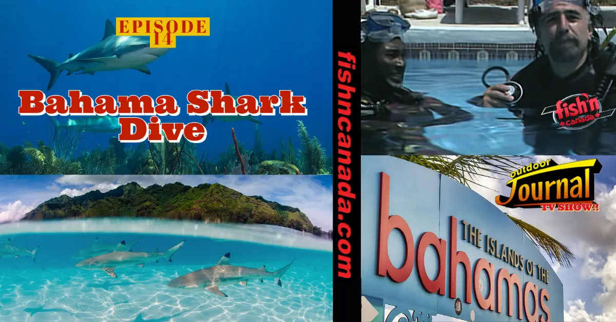 ODJ TV YouTube Channel Episode 14: Bahama Shark Dive – Fish'n Canada