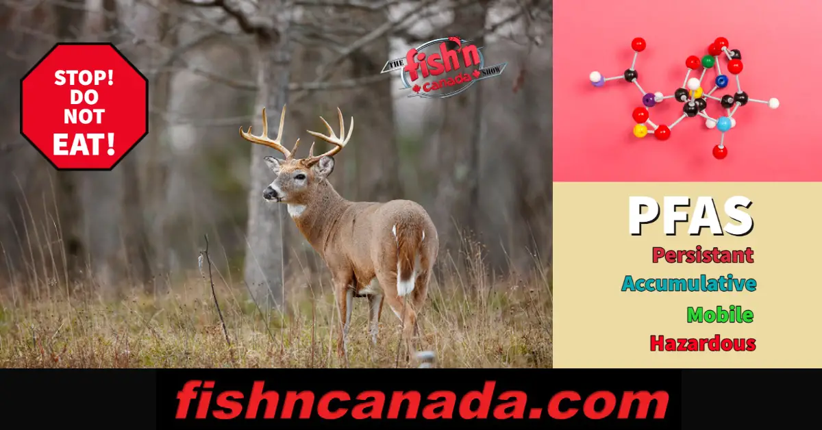 “Do Not Eat” Advisories For Deer? Our Toxic Legacy – Fish'n Canada