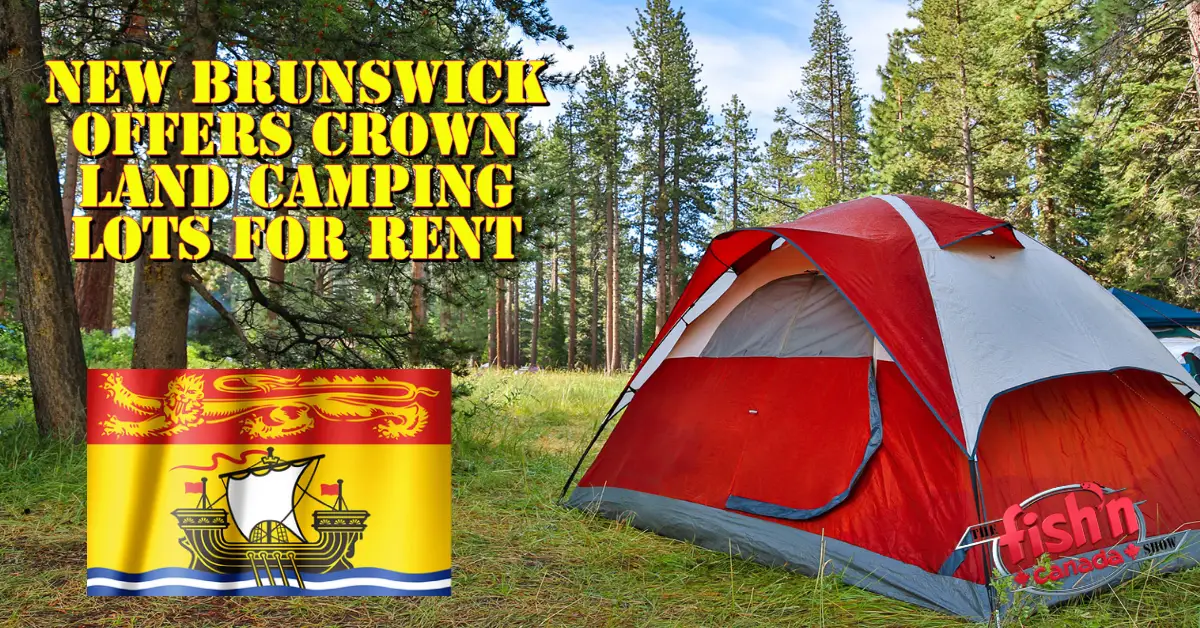 New Brunswick Offers Crown Land Camping Lots For Rent – Fish'n Canada