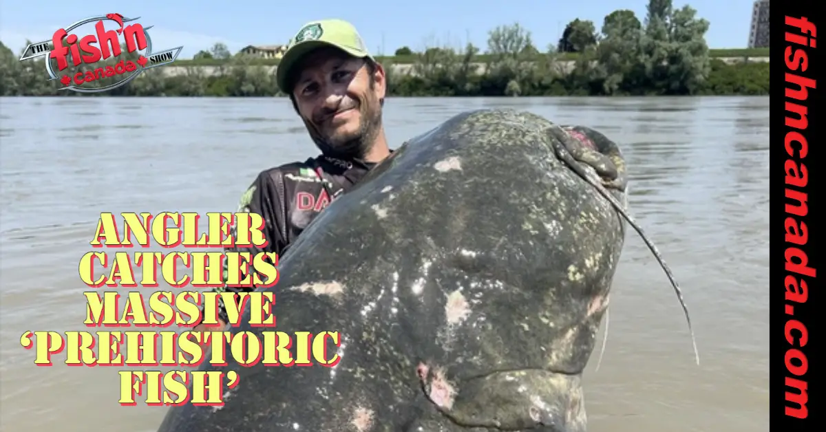 Angler Catches Massive ‘Prehistoric Fish’ – Fish'n Canada