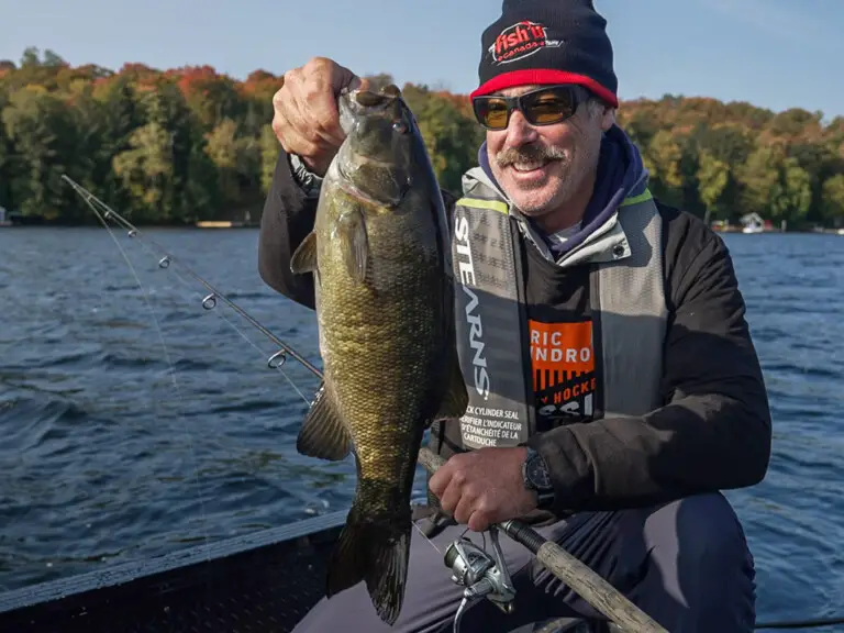 Lake Of Bays / Entrance to Haystack Bay – Fish'n Canada