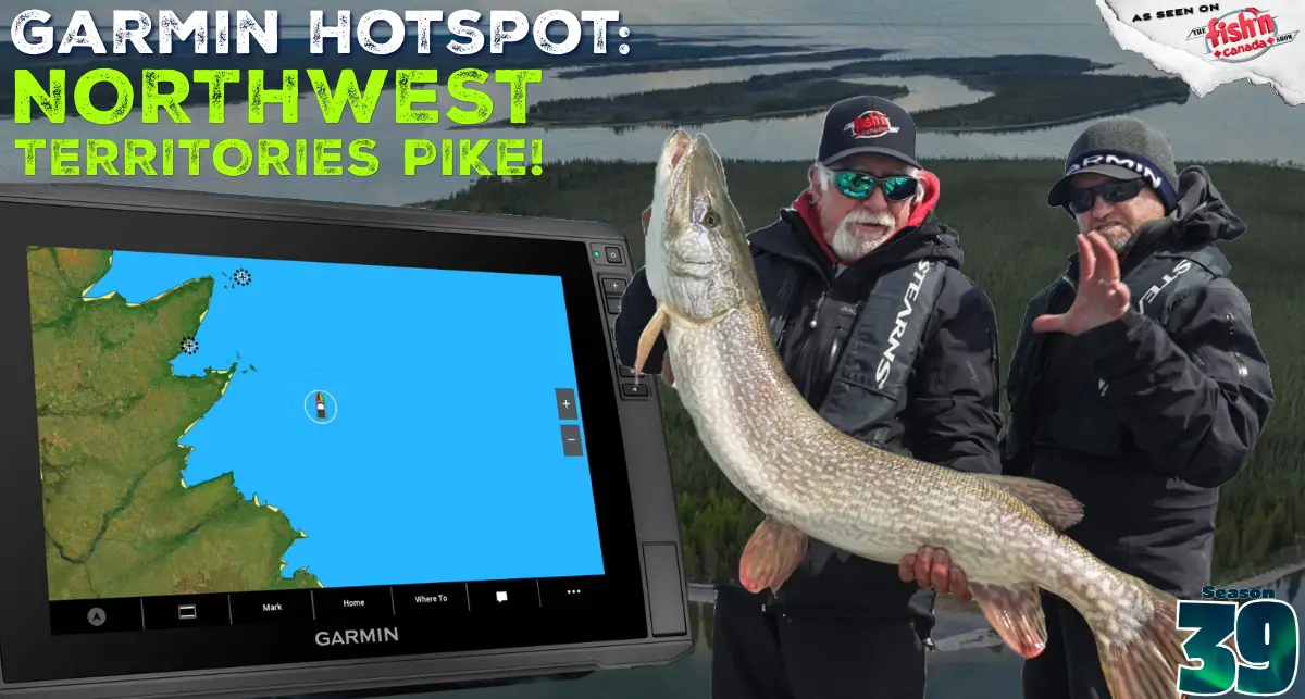 Mackenzie River Pike | HotSpot – Fish'n Canada